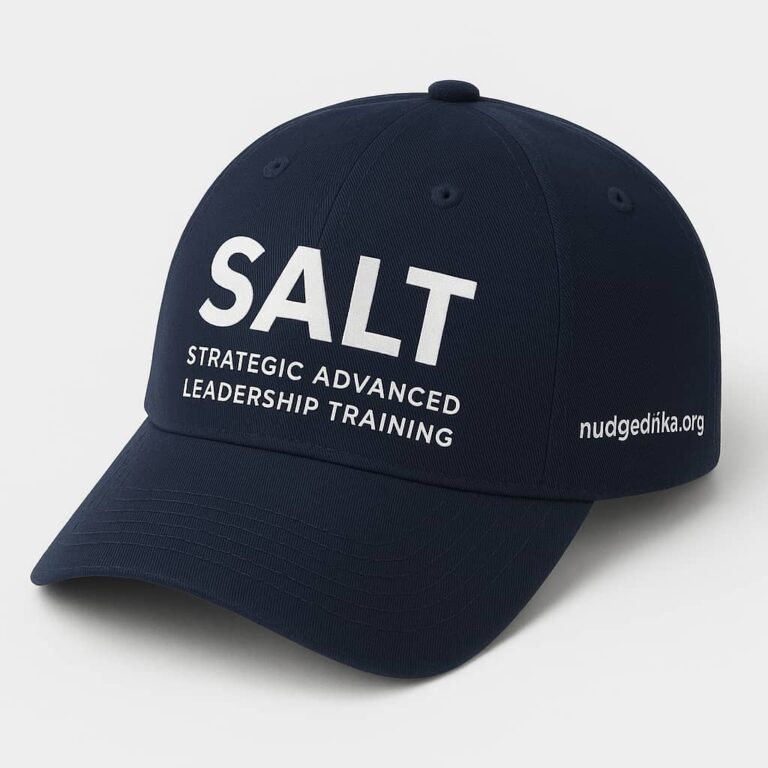 STRATEGIC ADVANCED LEADERSHIP TRAINING (SALT) – Nudge Bridge Africa